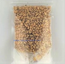 Fresh Ukwa — Carry Go Market